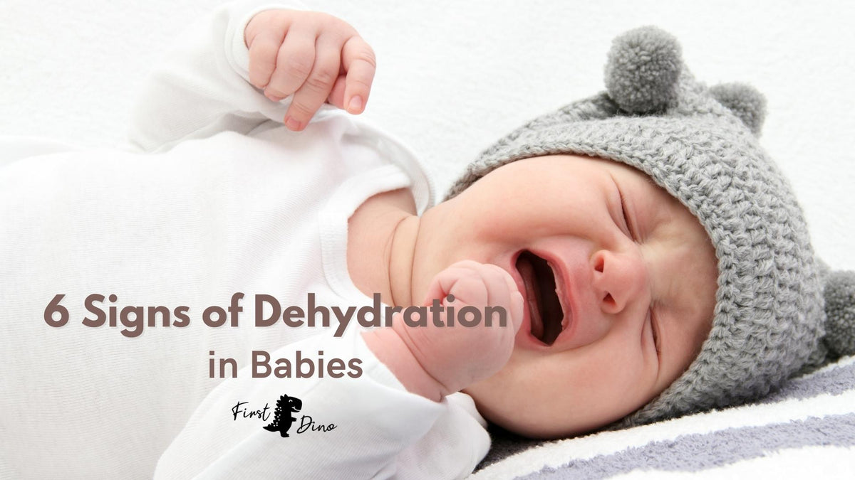 6 Signs of Dehydration in Babies – FirstDino